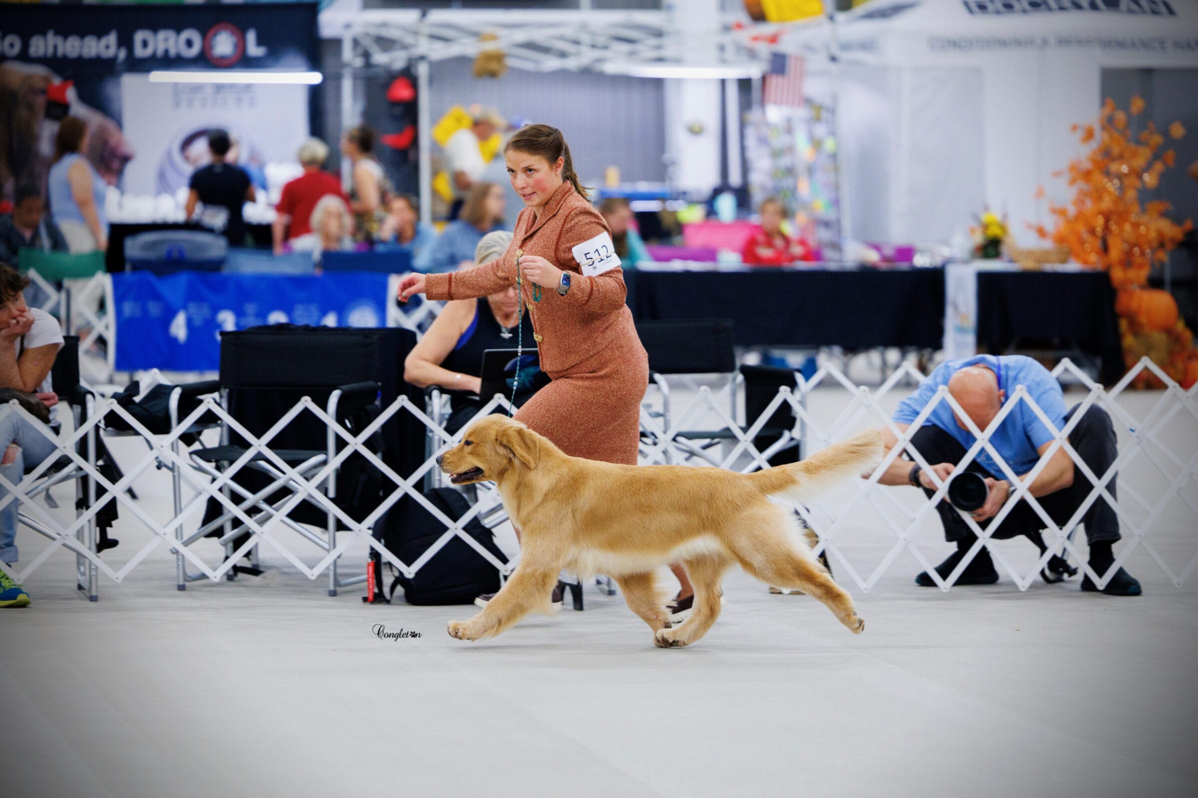 Forever’s Sippin’ On Fire – Forever Golden Retrievers